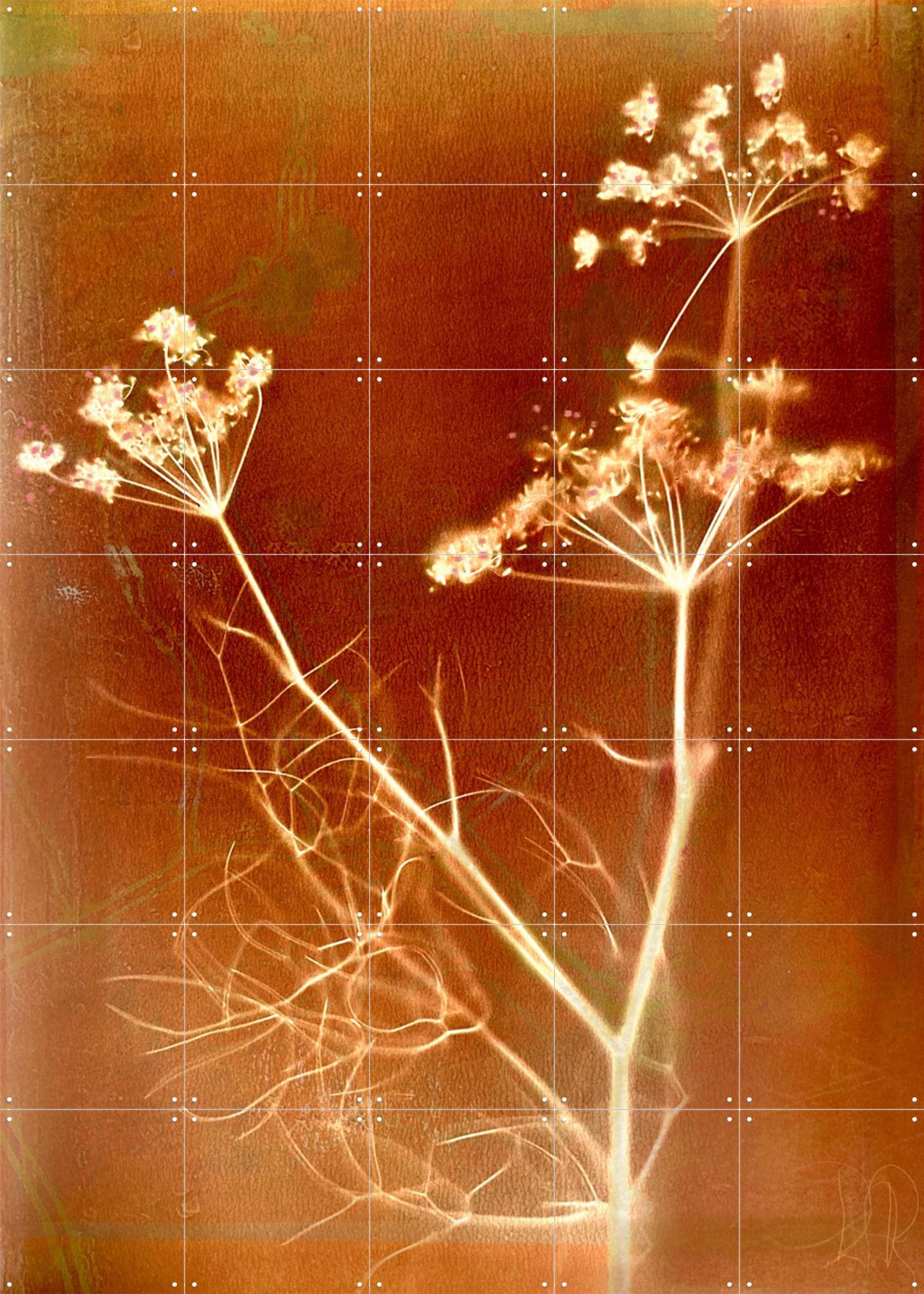 Heaven And Earth By RAR Kramer | Wall Art & Art Prints | IXXI