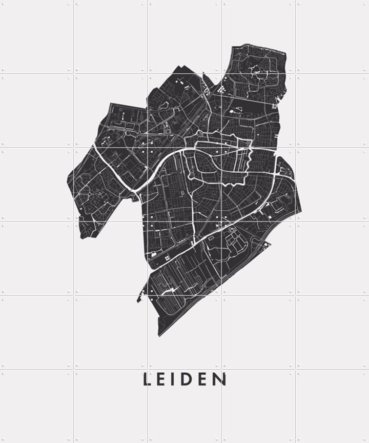 Leiden City Map, door Kunst in Kaart - IXXI