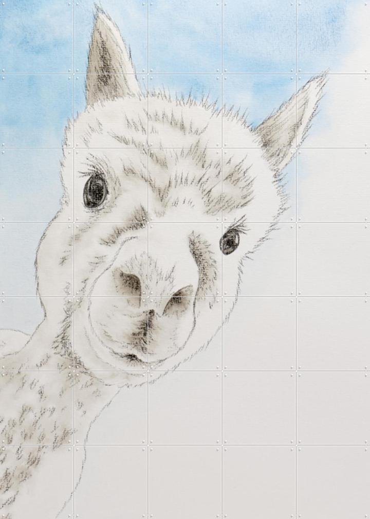 Curious Alpaca, door Natalie Bruns - IXXI