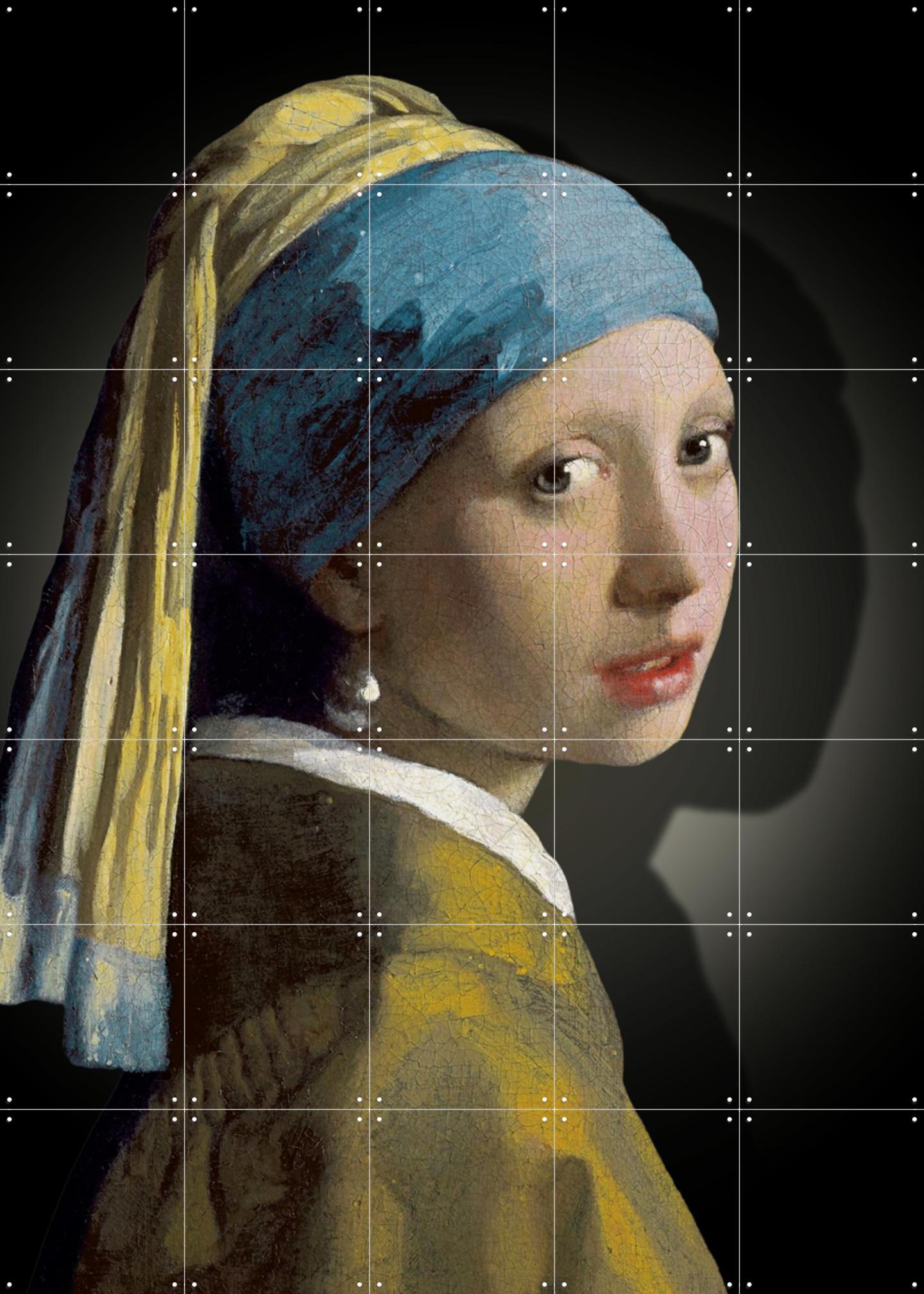 Meisje met de Parel - the simply shaded edition Door Marja van den Hurk ...
