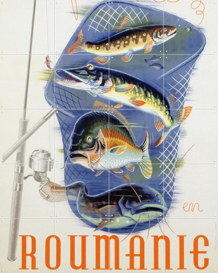 Fish from Romania, by Bridgeman Images - IXXI