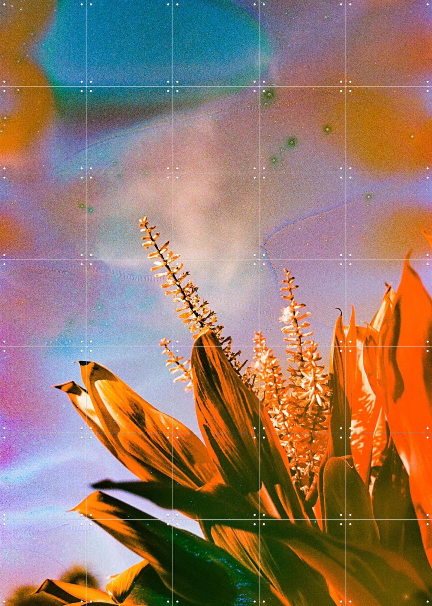 On the Bright Side By Amber Lauder | Wall Art & Art Prints | IXXI