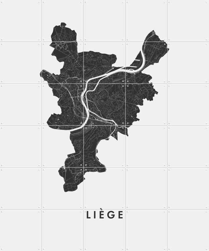 Liège City Map, par Art in Maps - IXXI