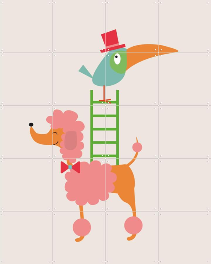 Stacked Poodle, par Jetske Kox - IXXI