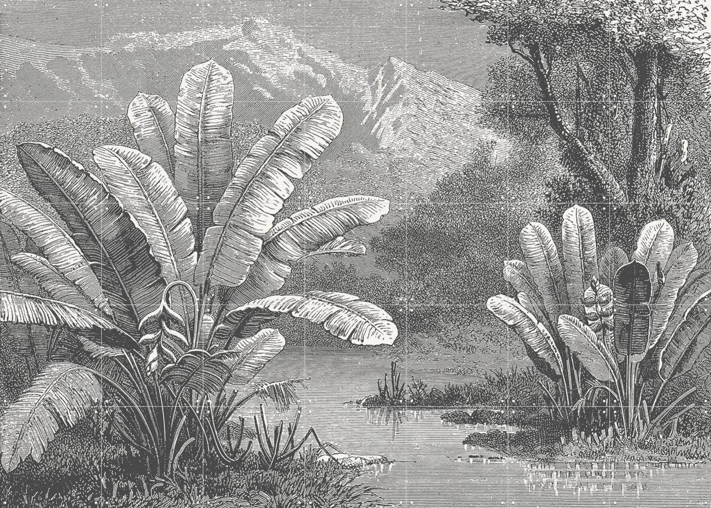 Tropical Marsh By Aster Edition | Wall Art & Art Prints | IXXI
