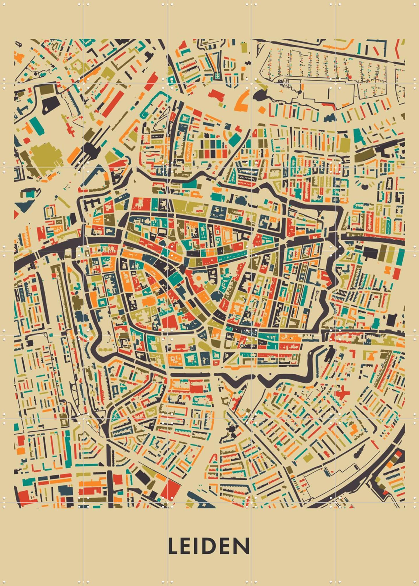 Leiden Mosaic Map By Art in Maps | Wall Art & Art Prints | IXXI