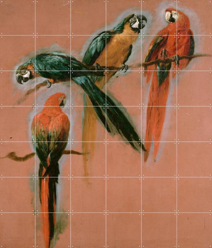 Four Parrots study, door Musée du Louvre - IXXI