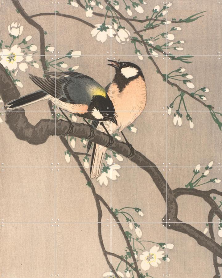 Koolmezen op bloesemtak, door Ohara Koson & Rijksmuseum - IXXI