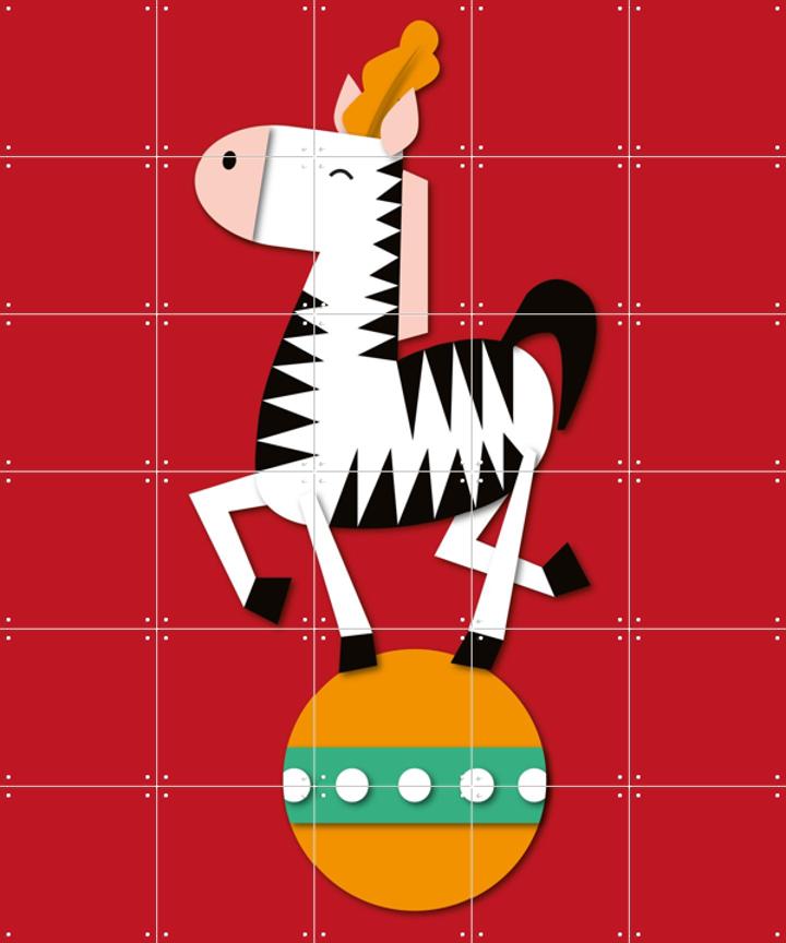 Circus Zebra, door Jetske Kox - IXXI