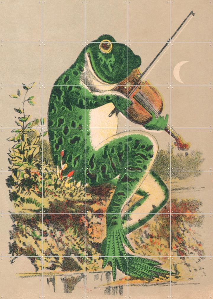 Frog playing violin, by Aster Edition - IXXI