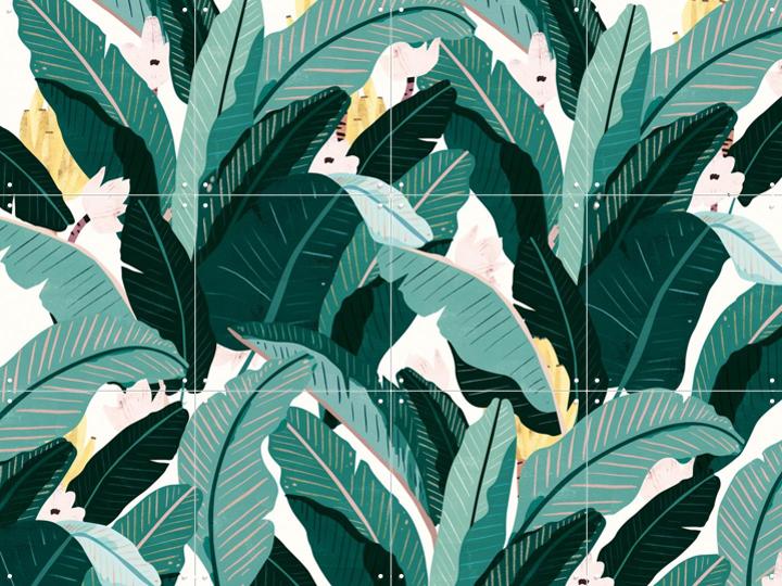 Banana Leaf Powder Pink - IXXI