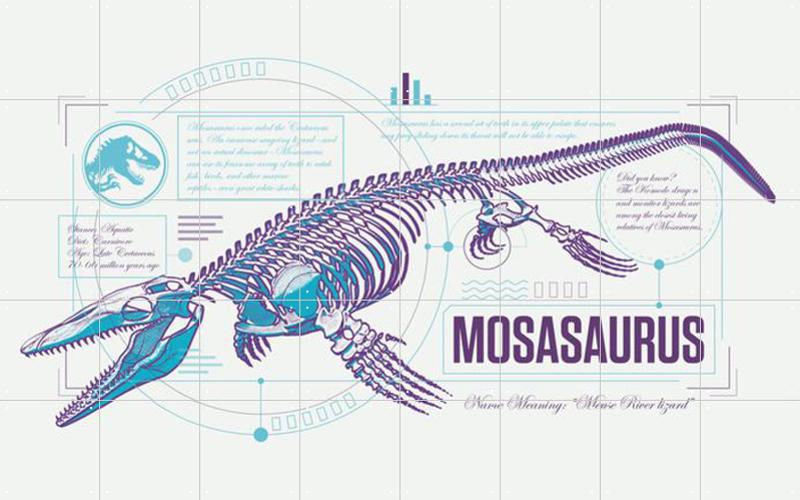 Mosasaurus Skeleton