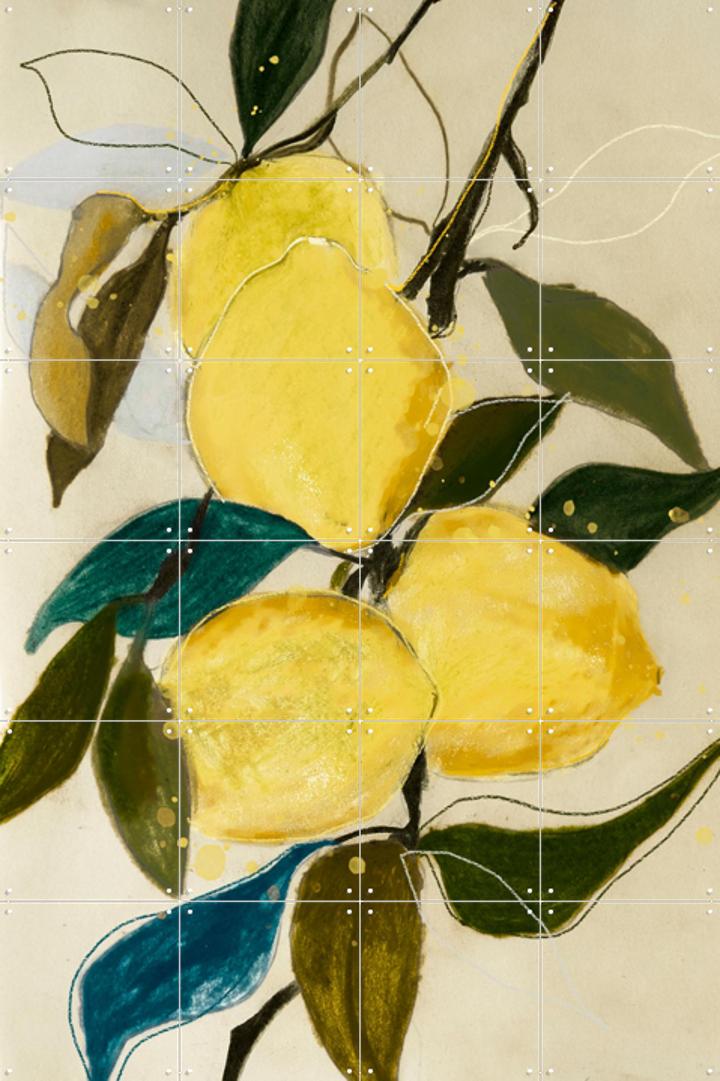 Lemon Study 1, door Leigh Viner - IXXI