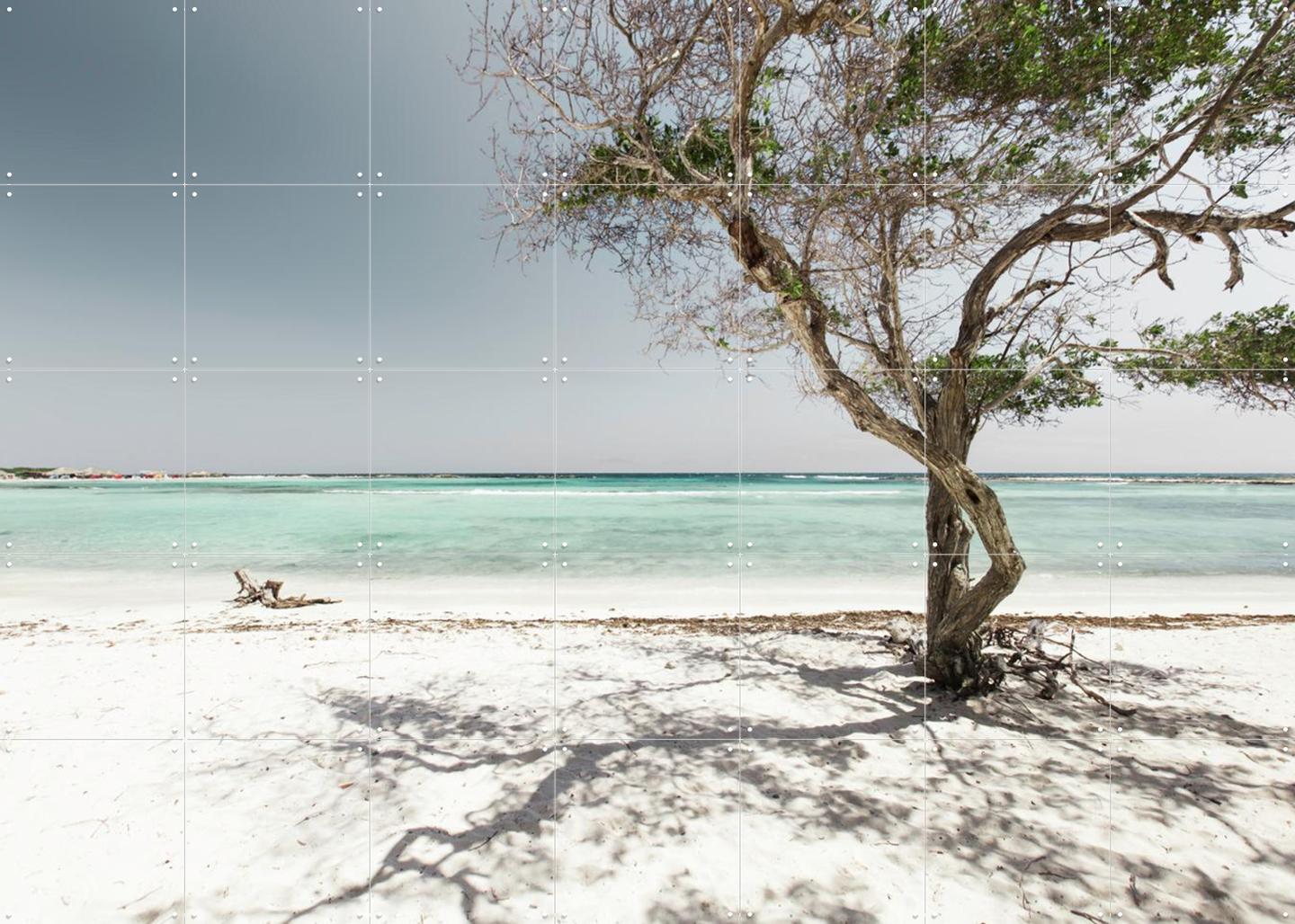 Aruban Waters By Claire Droppert | Wall Art & Art Prints | IXXI