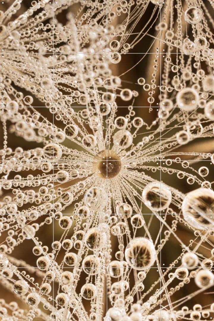 Een abstracte structuur uit de natuur, by Marjolijn van den Berg - IXXI