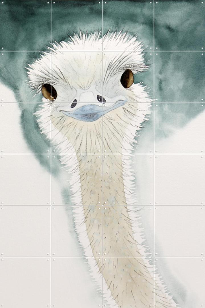 Happy Ostrich, door Natalie Bruns - IXXI